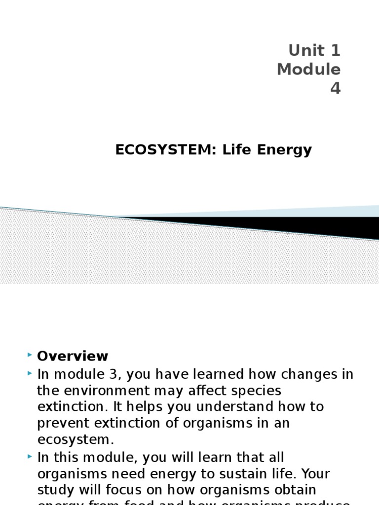 Unit 1 4: ECOSYSTEM: Life Energy | PDF | Photosynthesis | Chlorophyll
