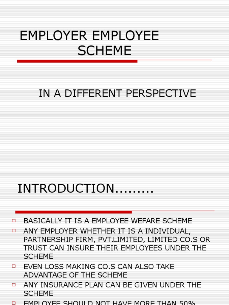 Employer Employee Scheme: in A Different Perspective | PDF | Employment ...