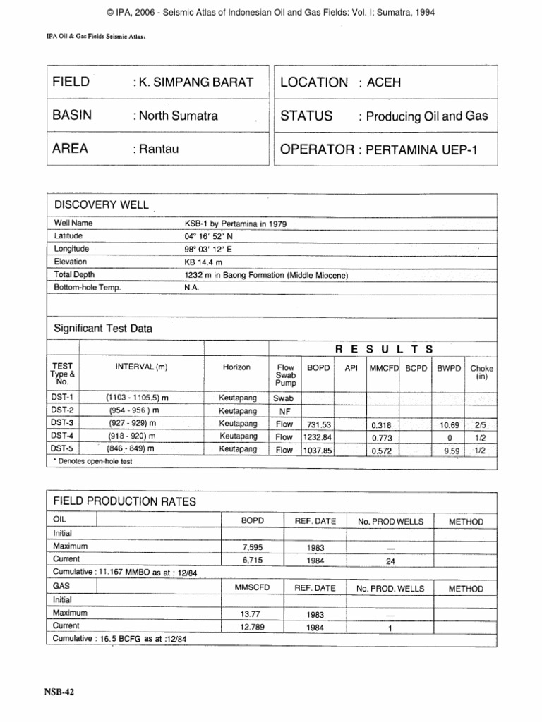 NSB 42 Firstpage | PDF