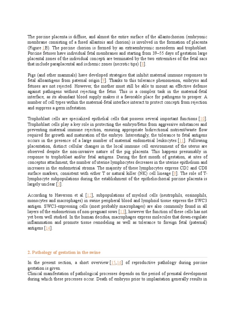Pathology of Gestation in The Swine | PDF | Placenta | Fetus