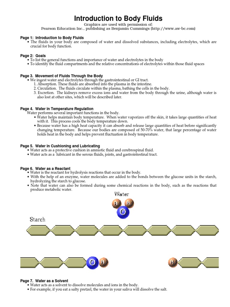 Body Fluids Overview for Students | PDF | Electrolyte | Osmosis