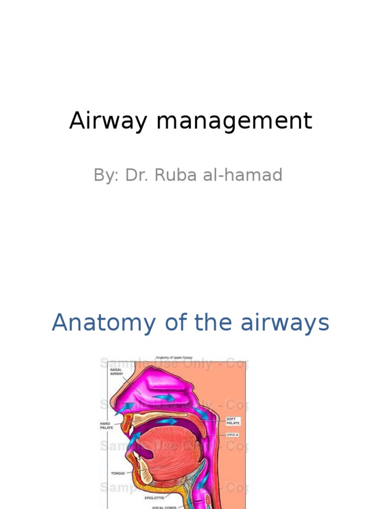 Airway Management For Paramedics | PDF | Breathing | Medical Treatments
