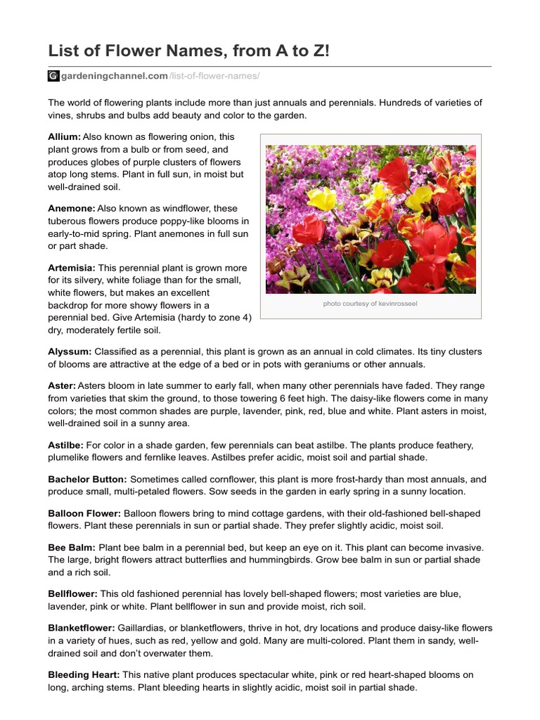 List of Flower Names From A To Z | PDF | Perennial Plant | Flowers