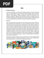 Shoprite Holdings: Growth and Strategy | PDF | Retail | Supply Chain