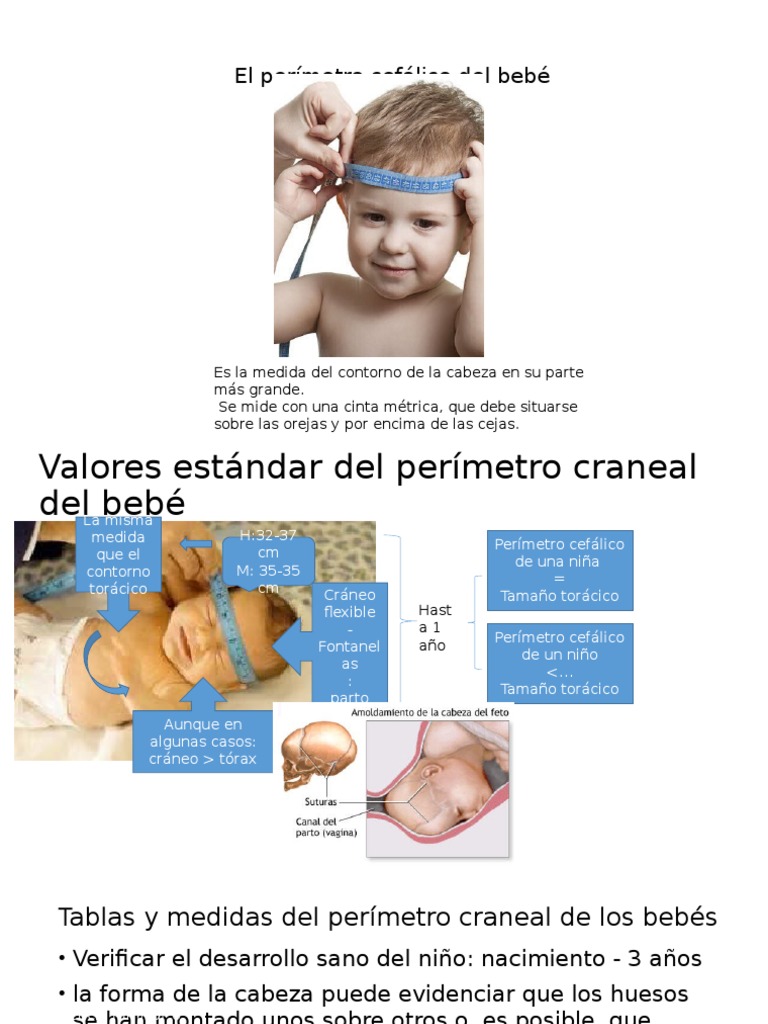 El Perímetro Cefálico Del Bebé | PDF