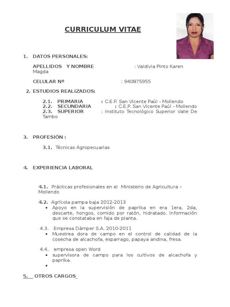 Curriculum Vitae Karen | PDF | Cocina, comidas y vino | Bienestar