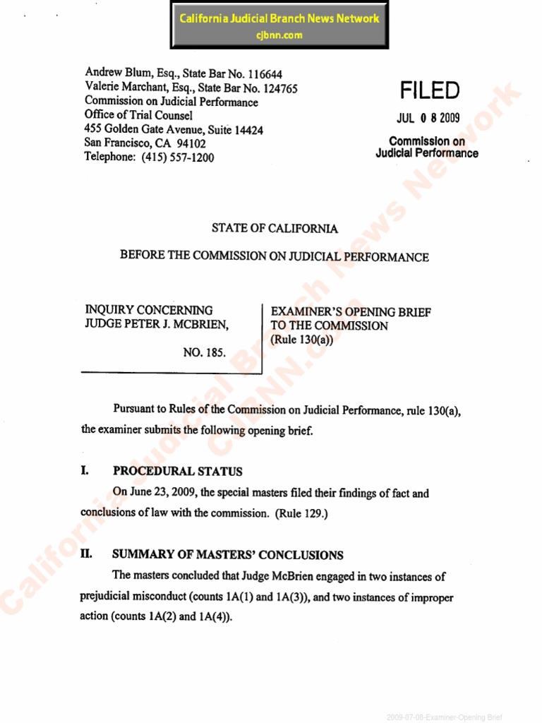 Perjurious Testimony Regarding Prior Criminal Conviction by Judge Peter ...