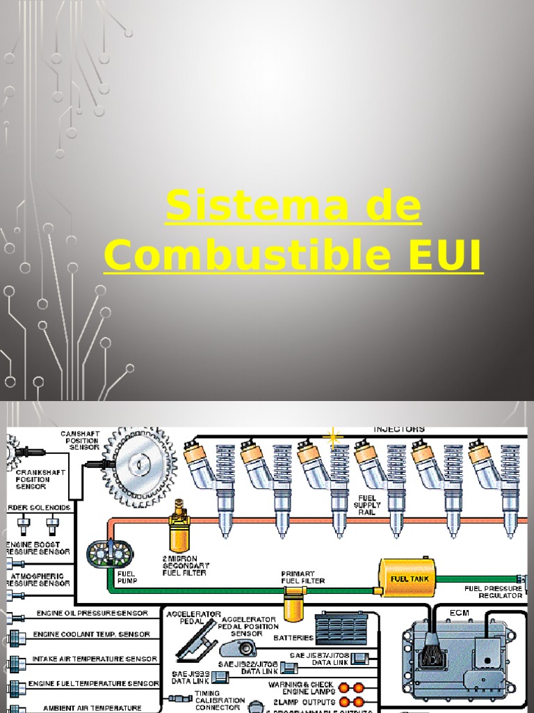 Sistema de Combustible Eui | PDF