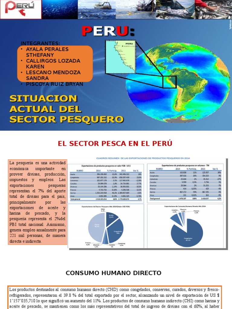 SITUACION ACTUAL DE LA PESCA EN EL PERU | Pesquería | Perú