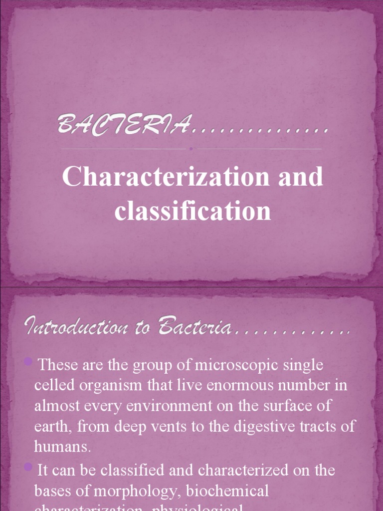 Classification and Chracterisation of Bacteria | PDF | Cell (Biology ...