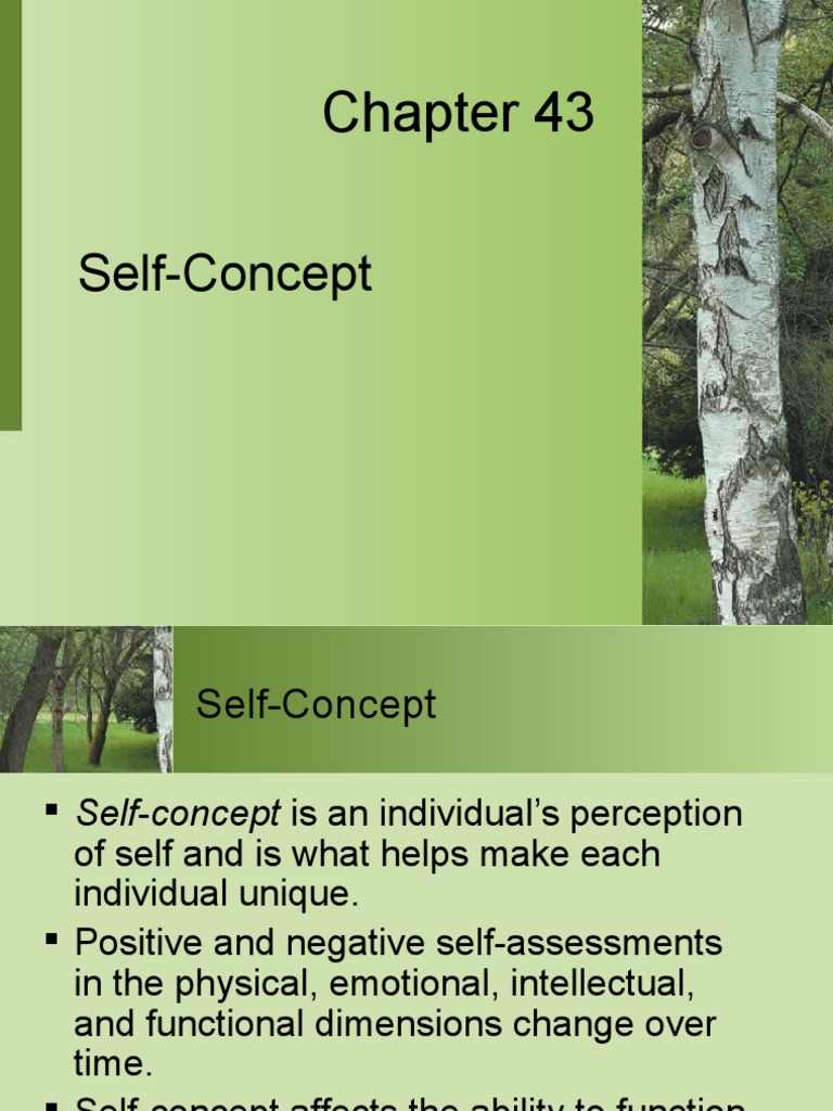 Self Concept | PDF | Self Concept | Self Esteem