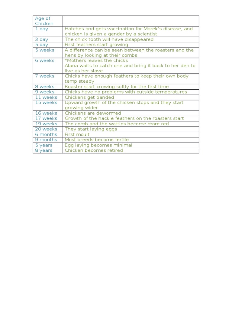 Chicken Growth Timeline and Milestones | PDF | Science & Mathematics
