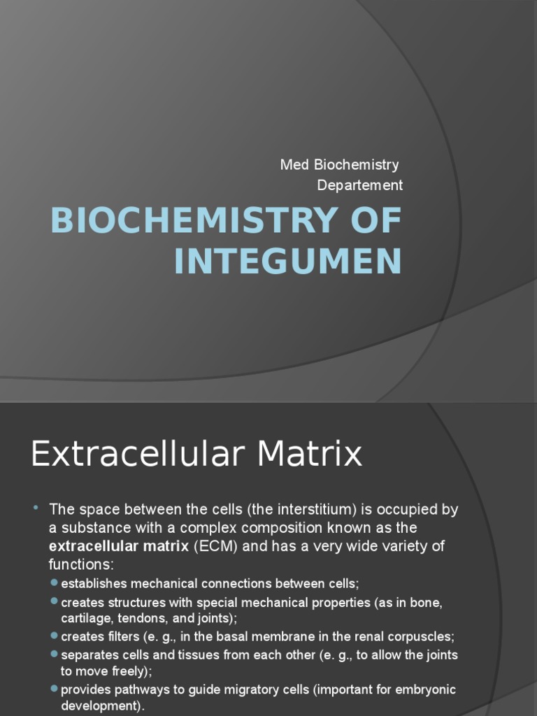 Biochemistry of ECM and Collagen | PDF | Extracellular Matrix | Collagen