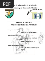 Informe Final de Practicas Preprofesionales | PDF | Educación primaria | Aprendizaje