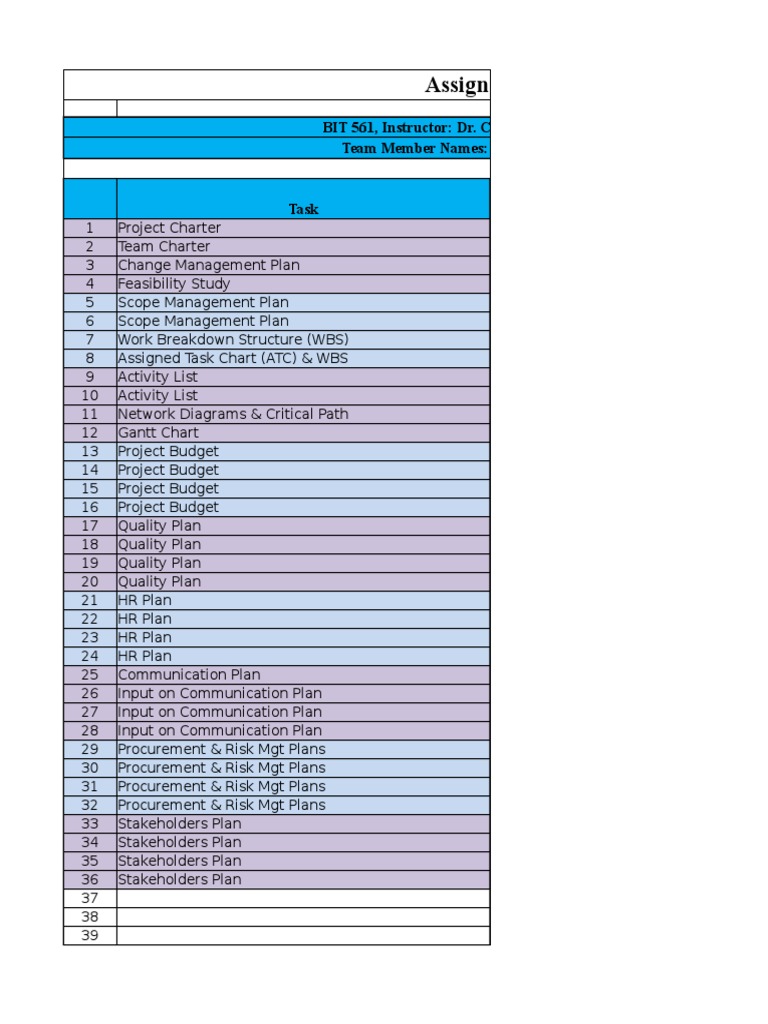 Assigned Task Chart Overview | PDF | Business | Computing And ...