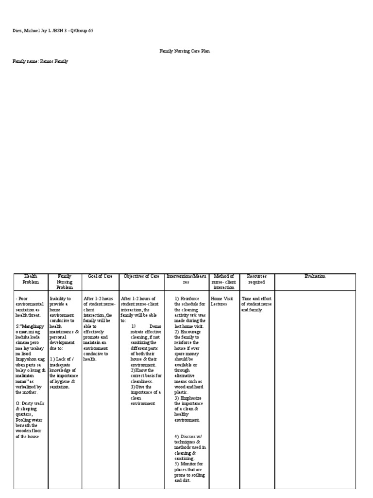 Family Nursing Care Plan for Hygiene | PDF | Nursing | Health Sciences