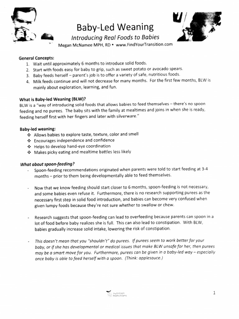 Baby Led Weaning Handout | PDF | Food Allergy | Vegan Cuisine