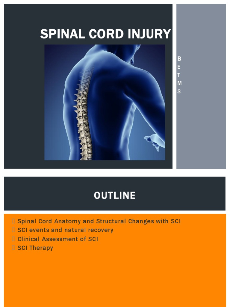 Spinal Cord Injury: Anatomy, Assessment, Therapy & Recovery | PDF ...