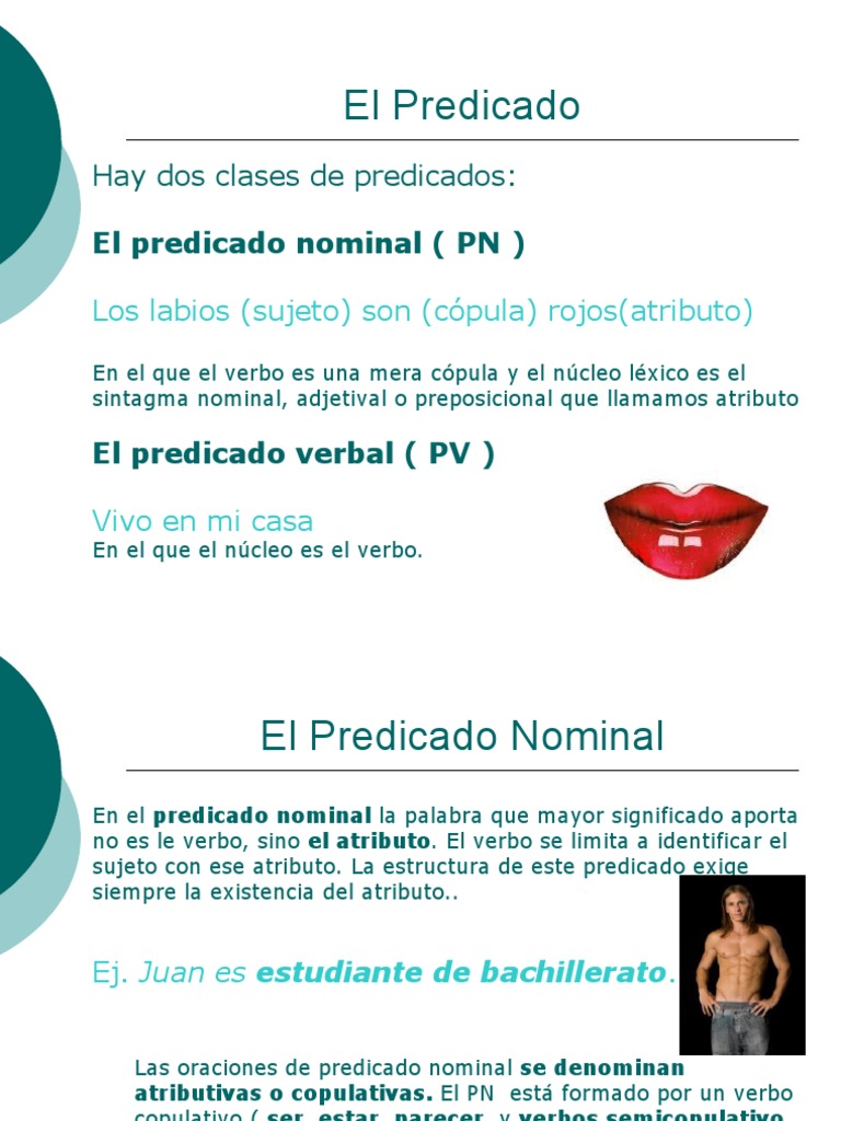 El Predicado | PDF | Predicado (Gramática) | Verbo