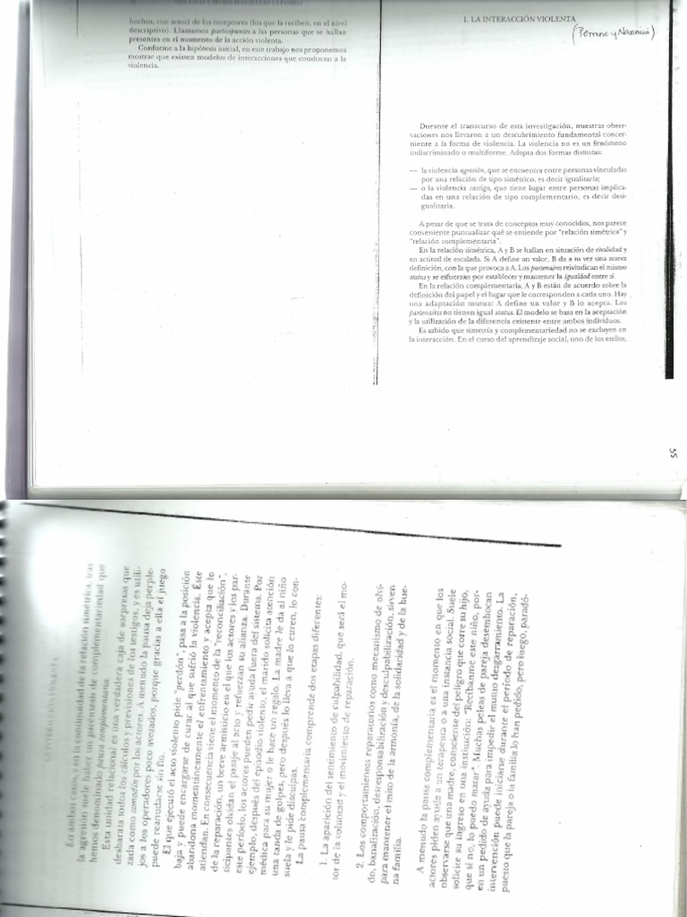 Interacción Violenta Perrone y Nannini | PDF