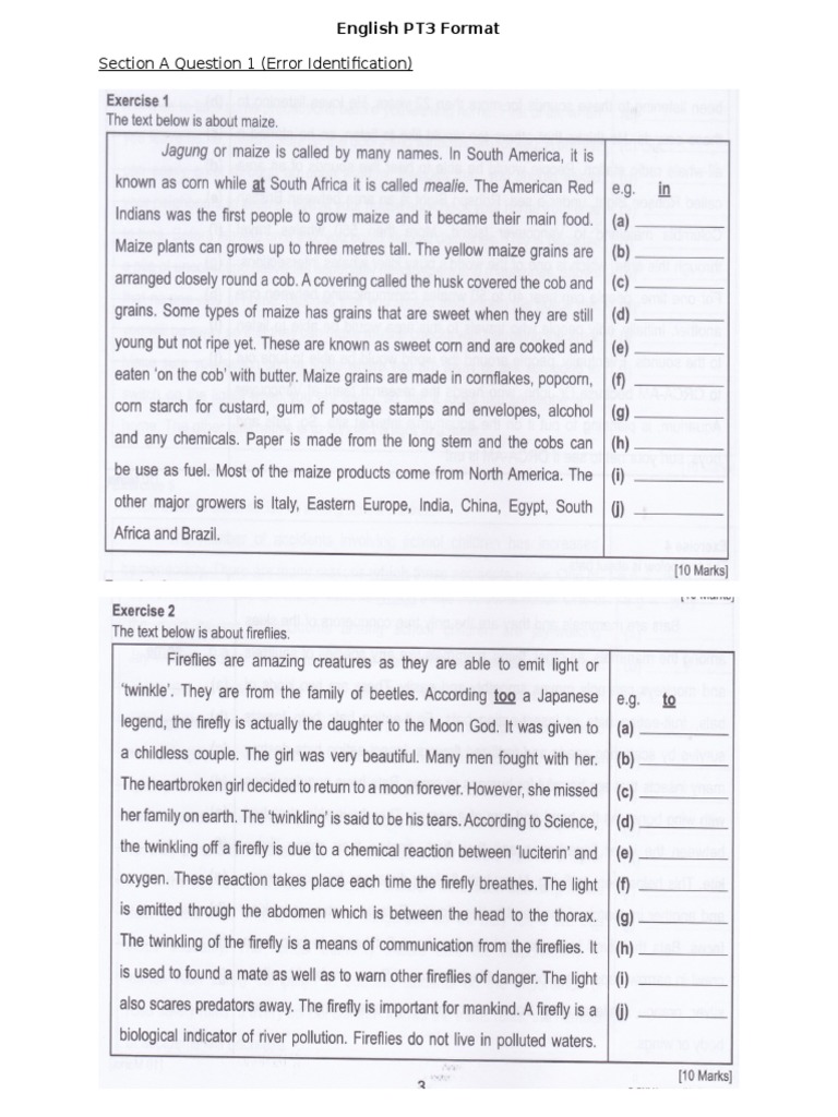 English PT3 Format (Error Identification) | PDF