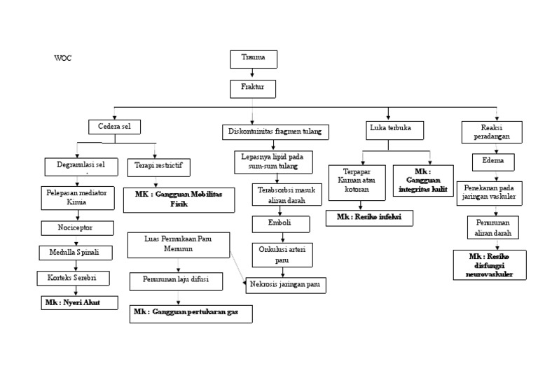 Woc Multiple Fraktur Costae | PDF