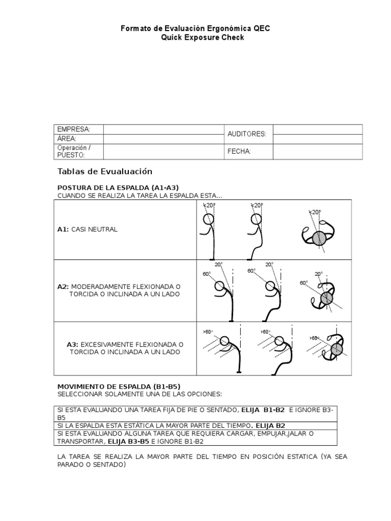 Formato de Evaluación Ergonómica QEC Quick Exposure Check: Postura de La Espalda (A1-A3) | PDF