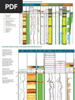 Log Responses | PDF
