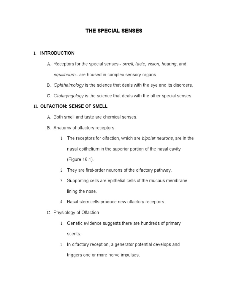 210 Chap 16 | PDF | Olfaction | Taste