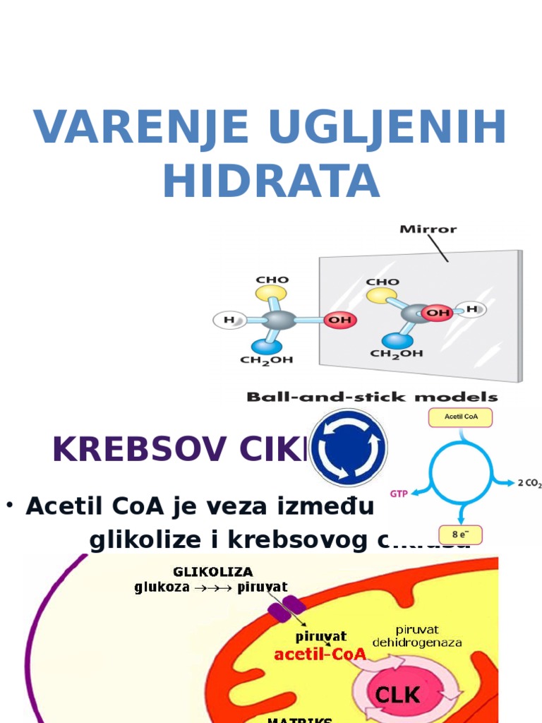 Varenje Ugljikohidrata | PDF