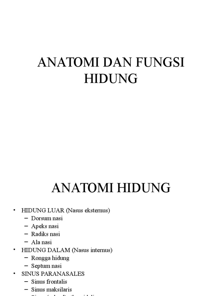 Anatomi Dan Fungsi Hidung | PDF