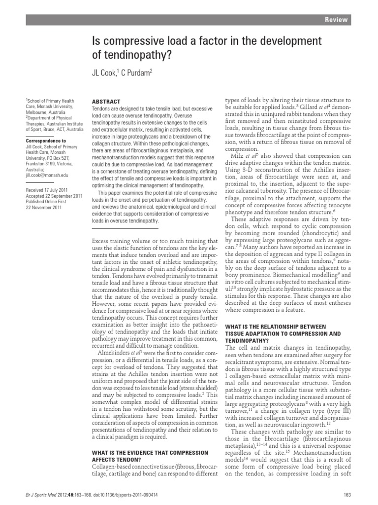 Is Compressive Load A Factor in The Development of Tendinopathy? | PDF ...