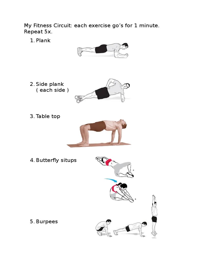 My Fitness Circuit | PDF