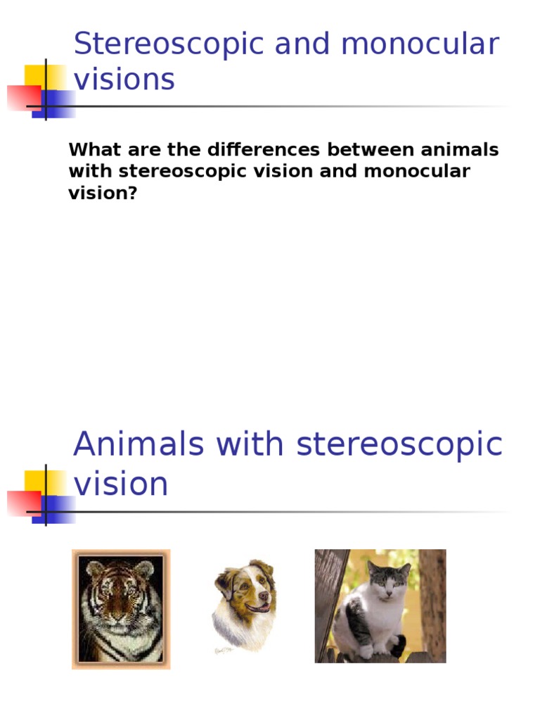 Stereoscopic vs Monocular Vision in Animals | PDF | Wellness