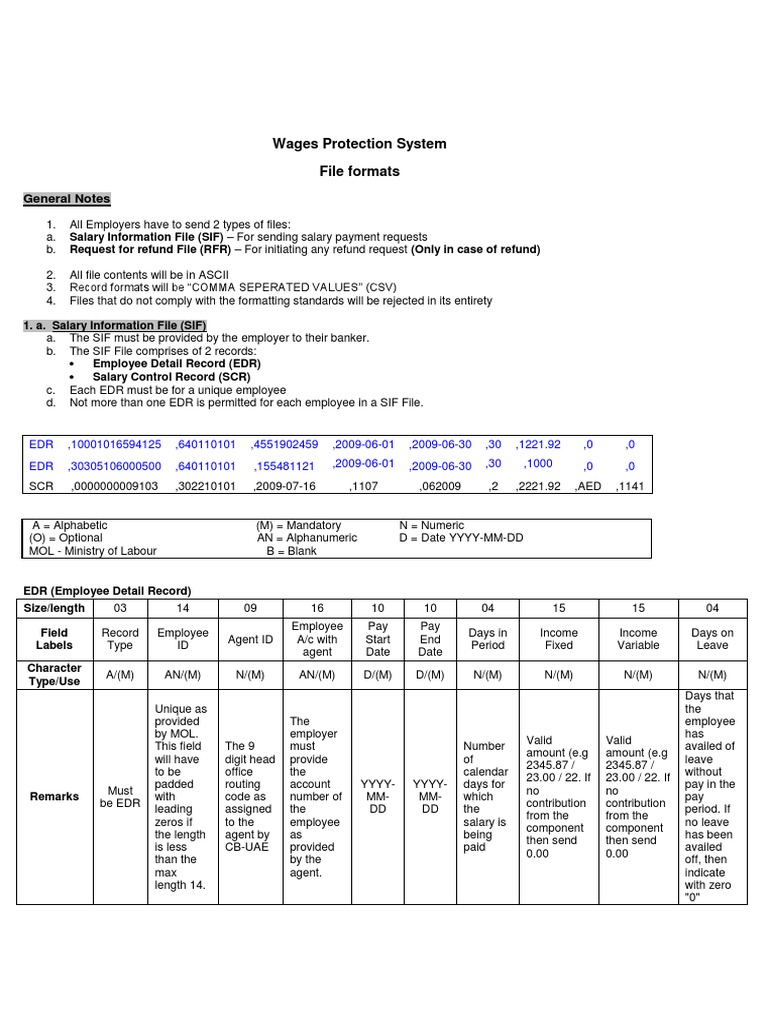 Wps File Format Reference Guide v1 1 | PDF | Comma Separated Values | Data