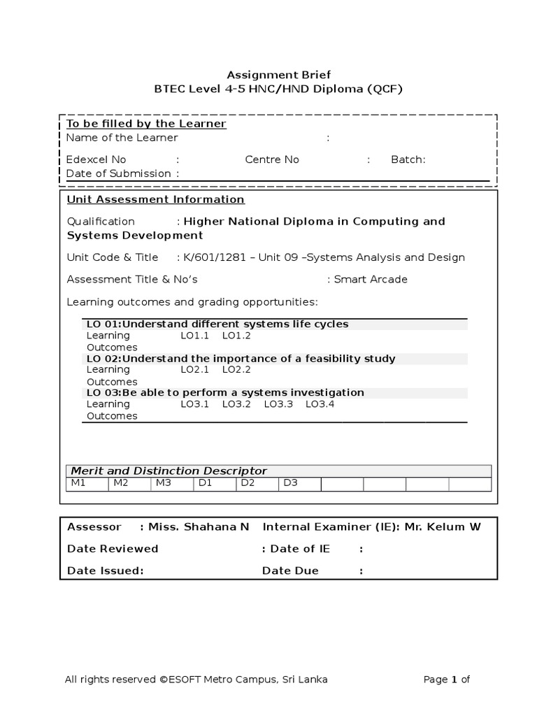 SAD Assignment - New | PDF | Systems Science | Business
