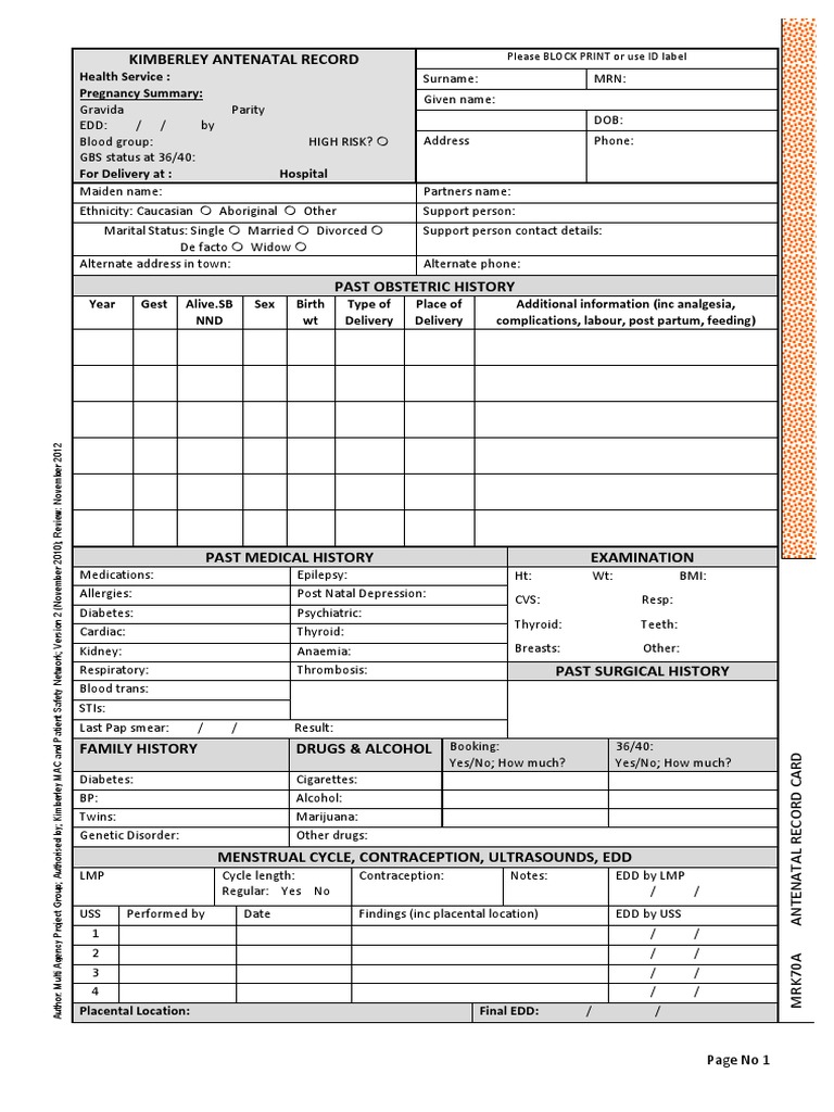 Antenatal Record | Childbirth | Prenatal Development