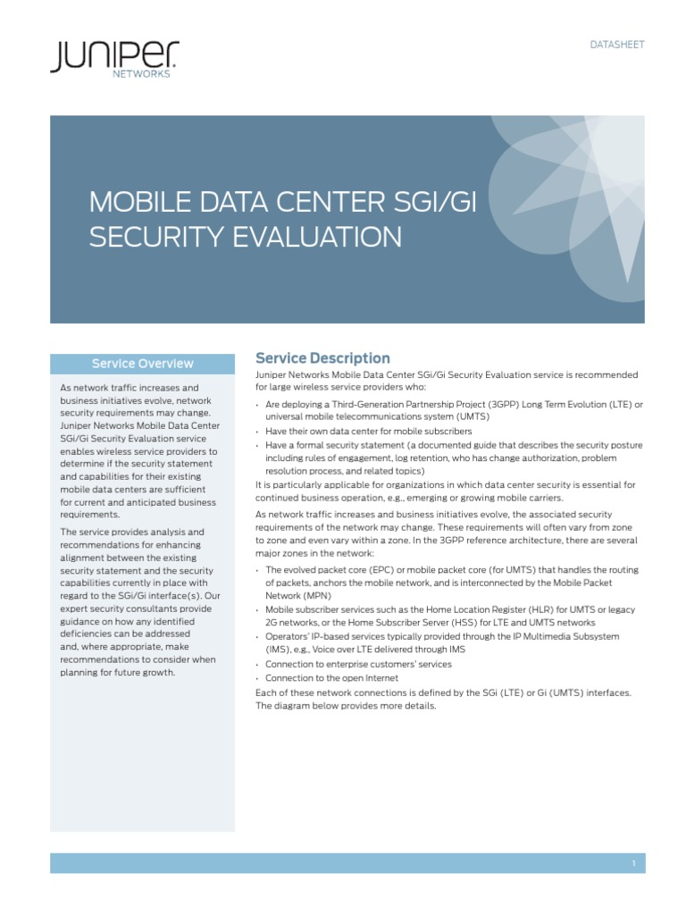Gi and SGi Interfaces | PDF | Ip Multimedia Subsystem | Computer Network