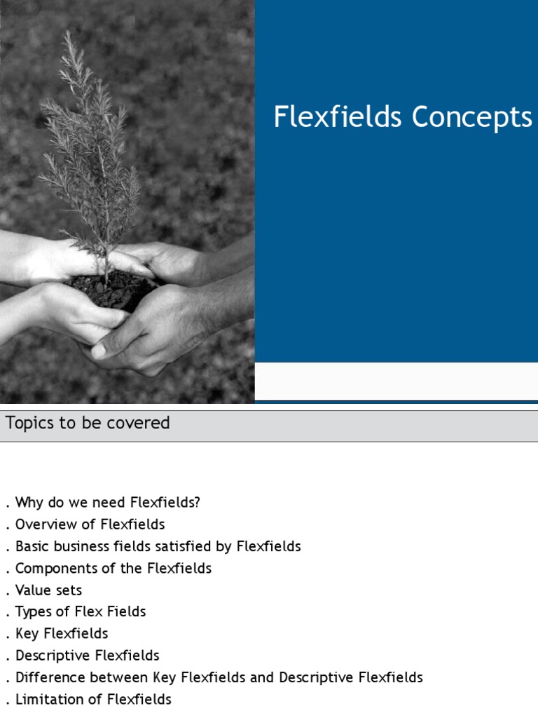 Oracle Apps Flexfields Concepts | PDF | Digital Technology | Computer Engineering