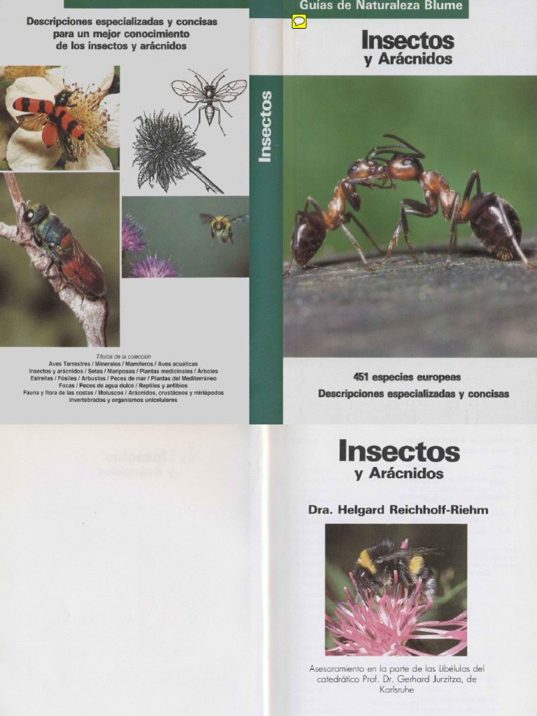 Insectos y Arácnidos | PDF
