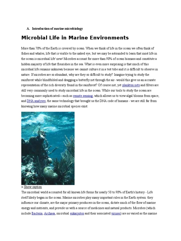 Introduction to Marine Microbiology | PDF | Microorganism | Oceans