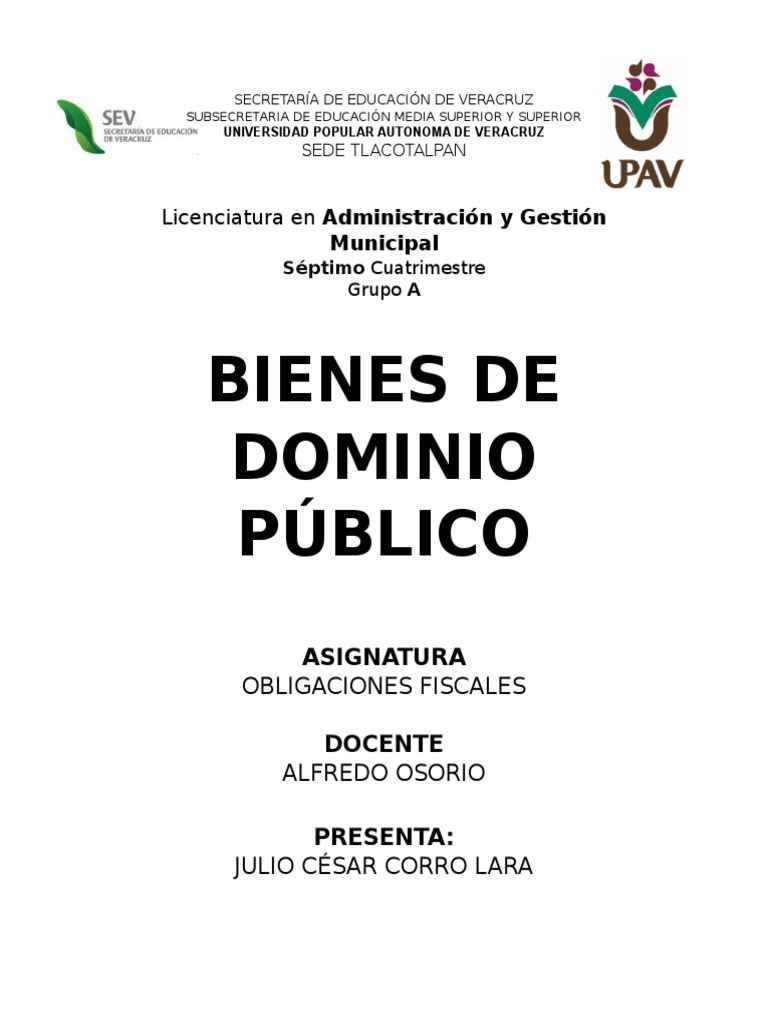 Que Son Los Bienes de Dominio Público Privado | PDF | Propiedad | Virtud
