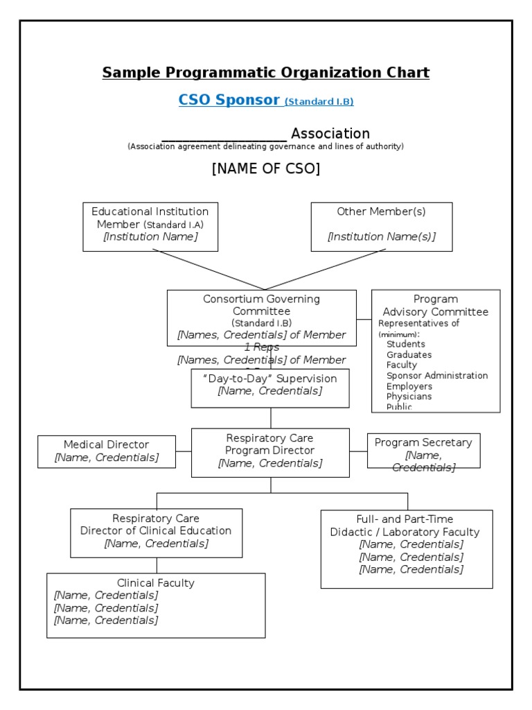 Sample Programmatic Organization Chart: - Association (Name of Cso) | PDF