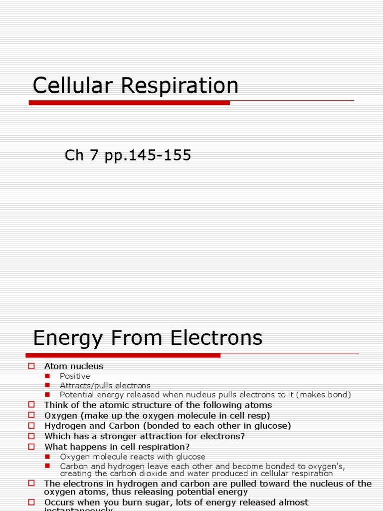 Energy and Cell Resp ETC and GLYCOLYSIS CH 7 Part 2 | PDF | Cellular ...