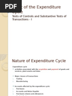 Control Testing Procedures | PDF | Technology & Engineering | Computers