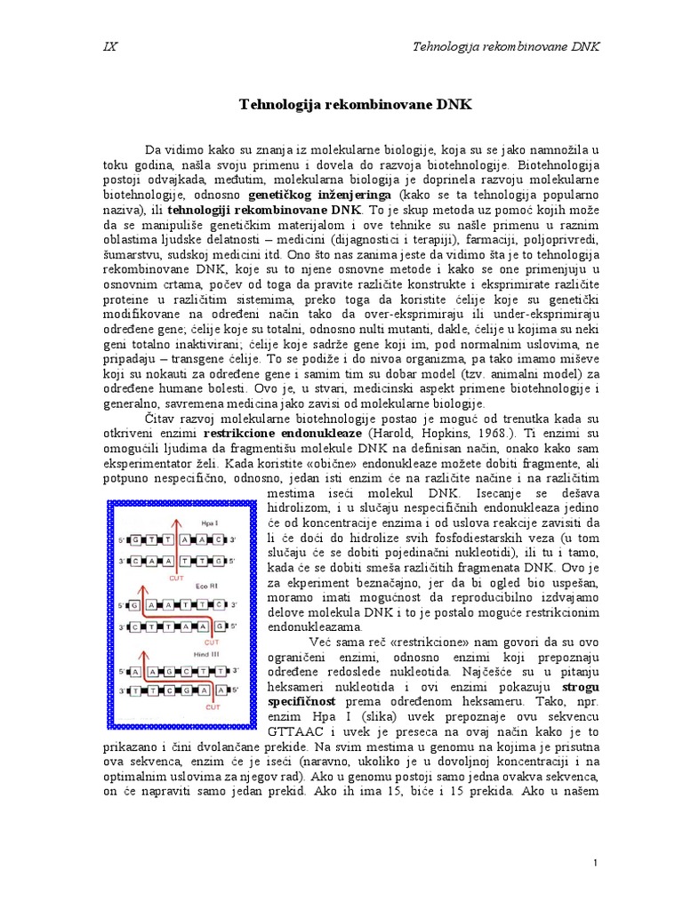 Genska Biblioteka | PDF