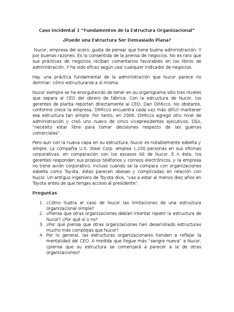 Caso Incidental | PDF | Business