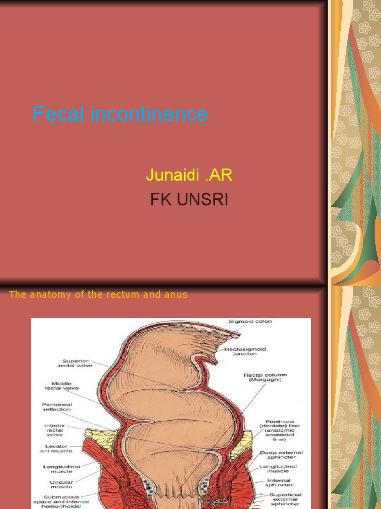 Fecal Incontinence | PDF | Rectum | Gastroenterology