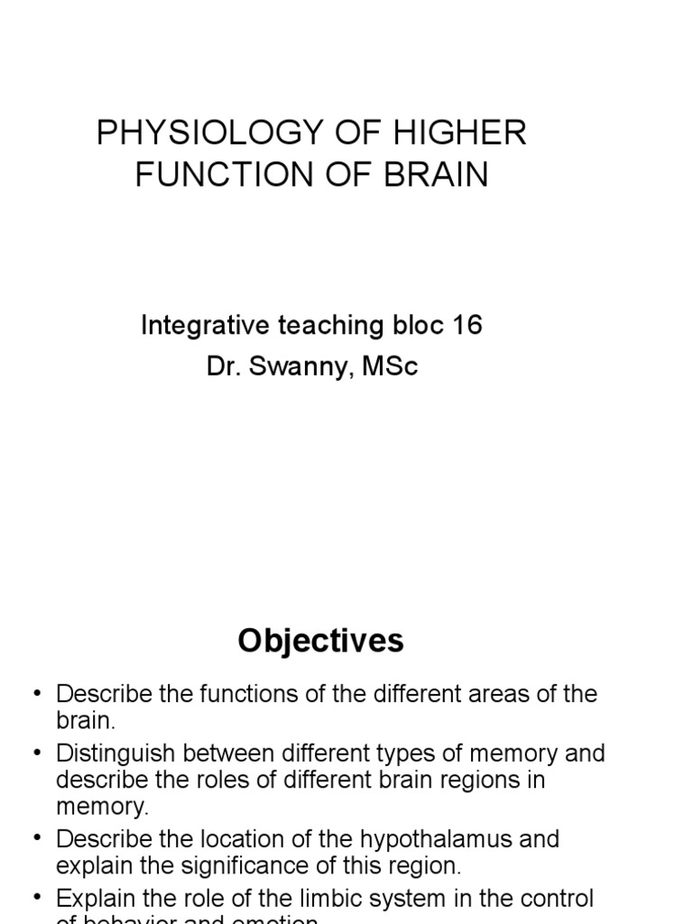 Physiology Brain Bloc 16 | PDF | Cerebral Cortex | Long Term Potentiation