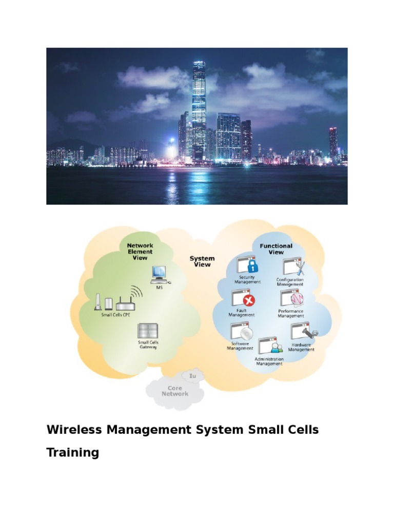 Wireless Management System Small Cells Training | PDF | Tab (Gui) | Login
